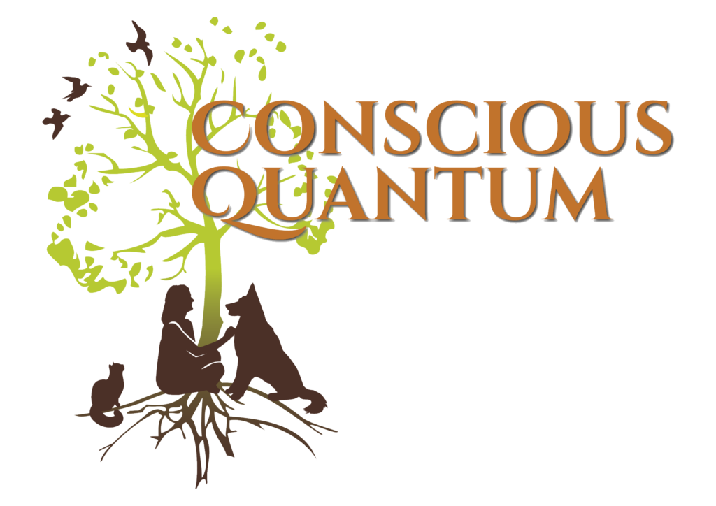 Conscious Quantum Academy – Self Care Alchemy for Every Soul